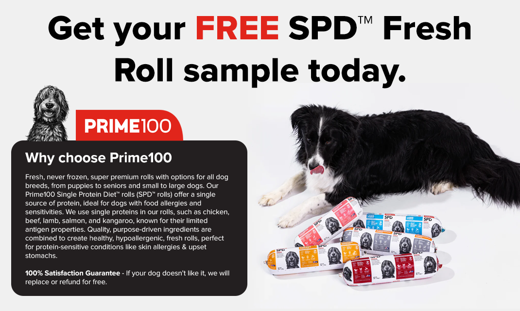 Spoil Your Dog with a Free Sample of Prime100’s Fresh Protein Roll ...